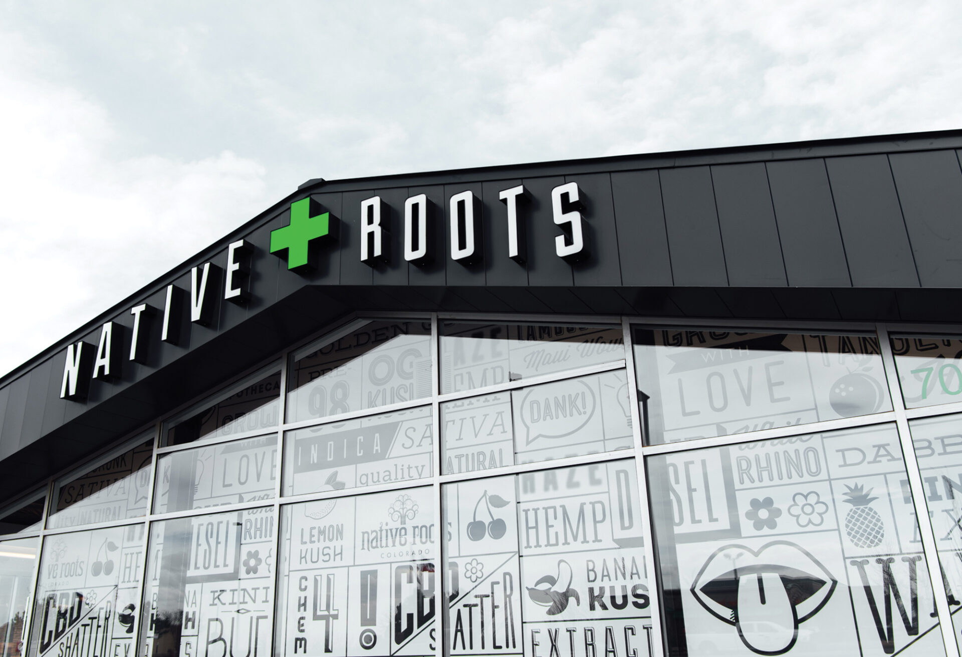 Native Roots - Avid Design | Marketing Agency | Website Development ...